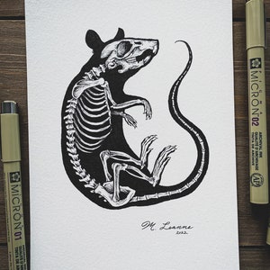 Rat Fine Art Print, Skeleton Rat Drawing, Original Art Print, Skeleton ...
