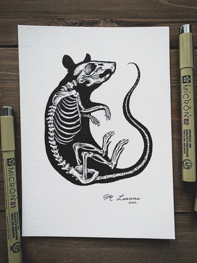 Rat Fine Art Print Skeleton Rat Drawing Original Art Print - Etsy
