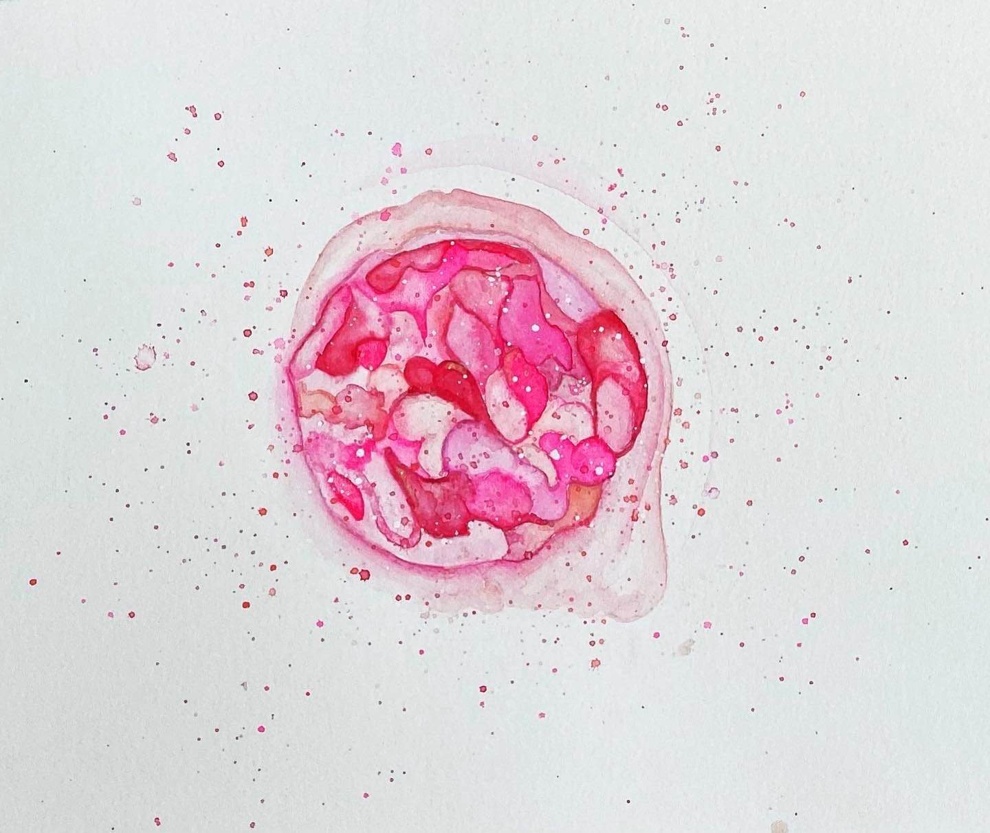 Embryo Watercolour Painting - Etsy