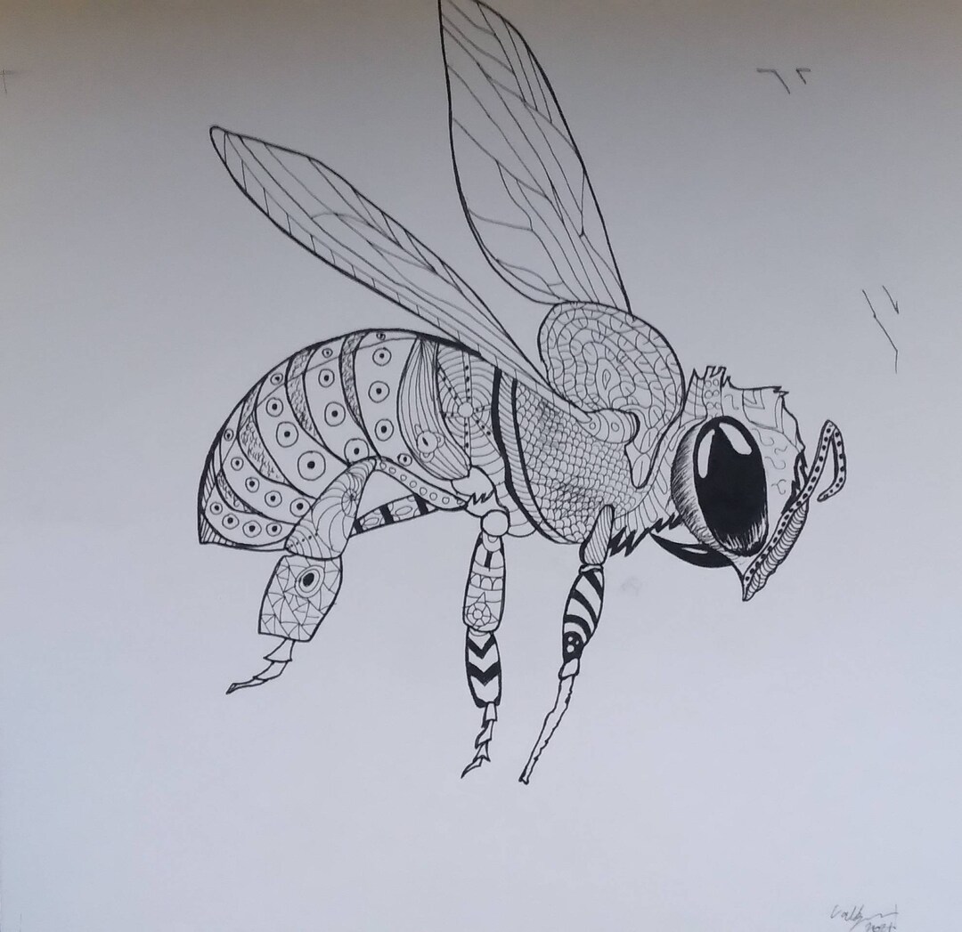 Original 8in X 8in Bee Ink Drawing,bee Line Drawing, Bee Artwork, Bee ...