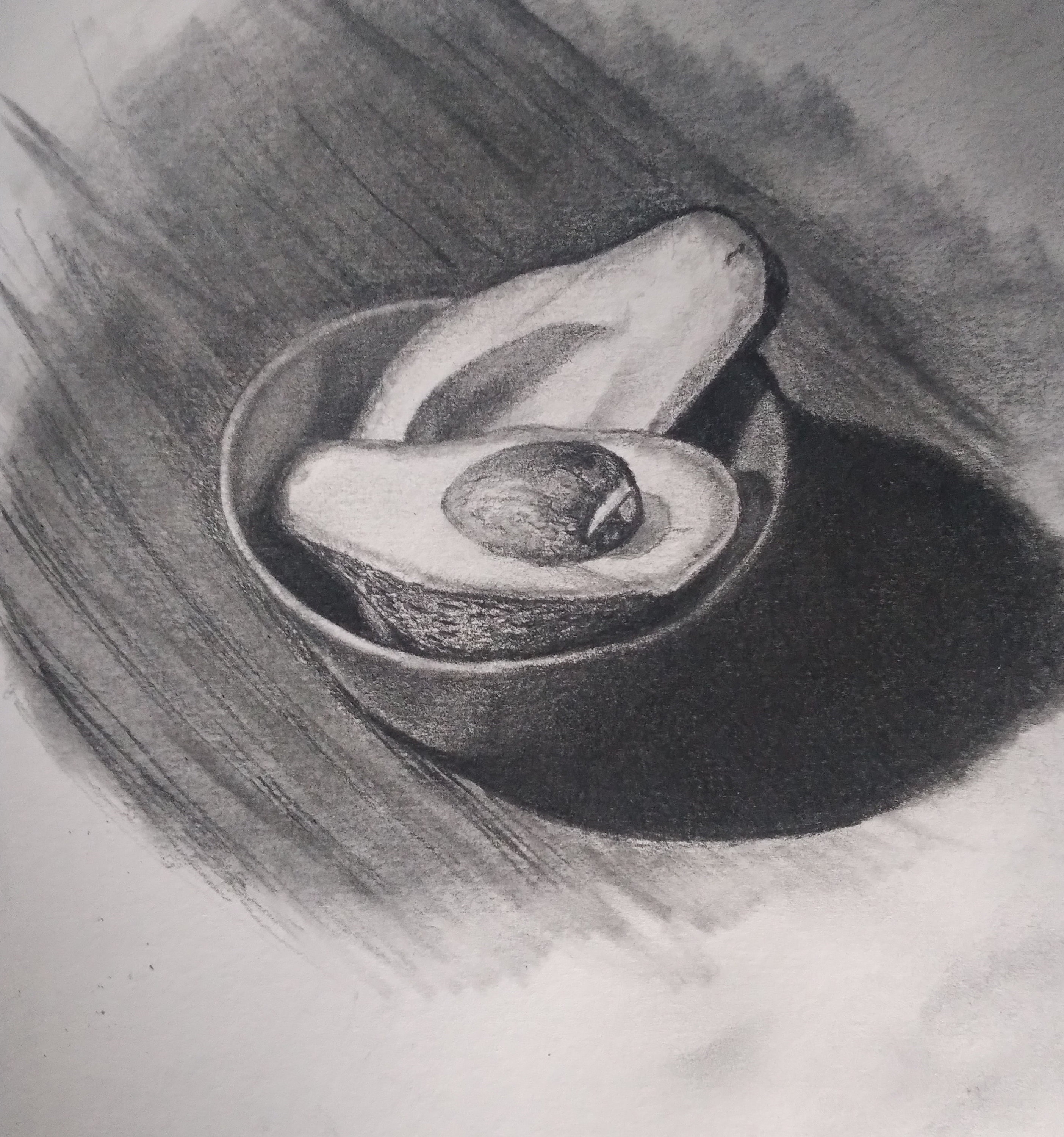 Avocado Pencil Drawing