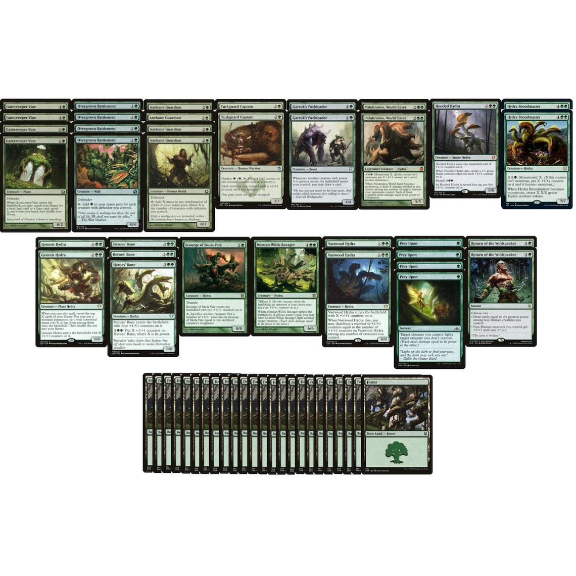Elite Hydra Deck - Mono Green - Huge Creatures - 60 Card - GRN - MTG NM ...