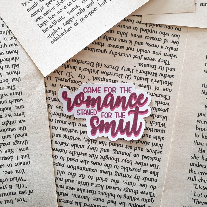 Smut Reader Sticker Set Matte Vinyl Stickers for Smut Lovers - Etsy UK