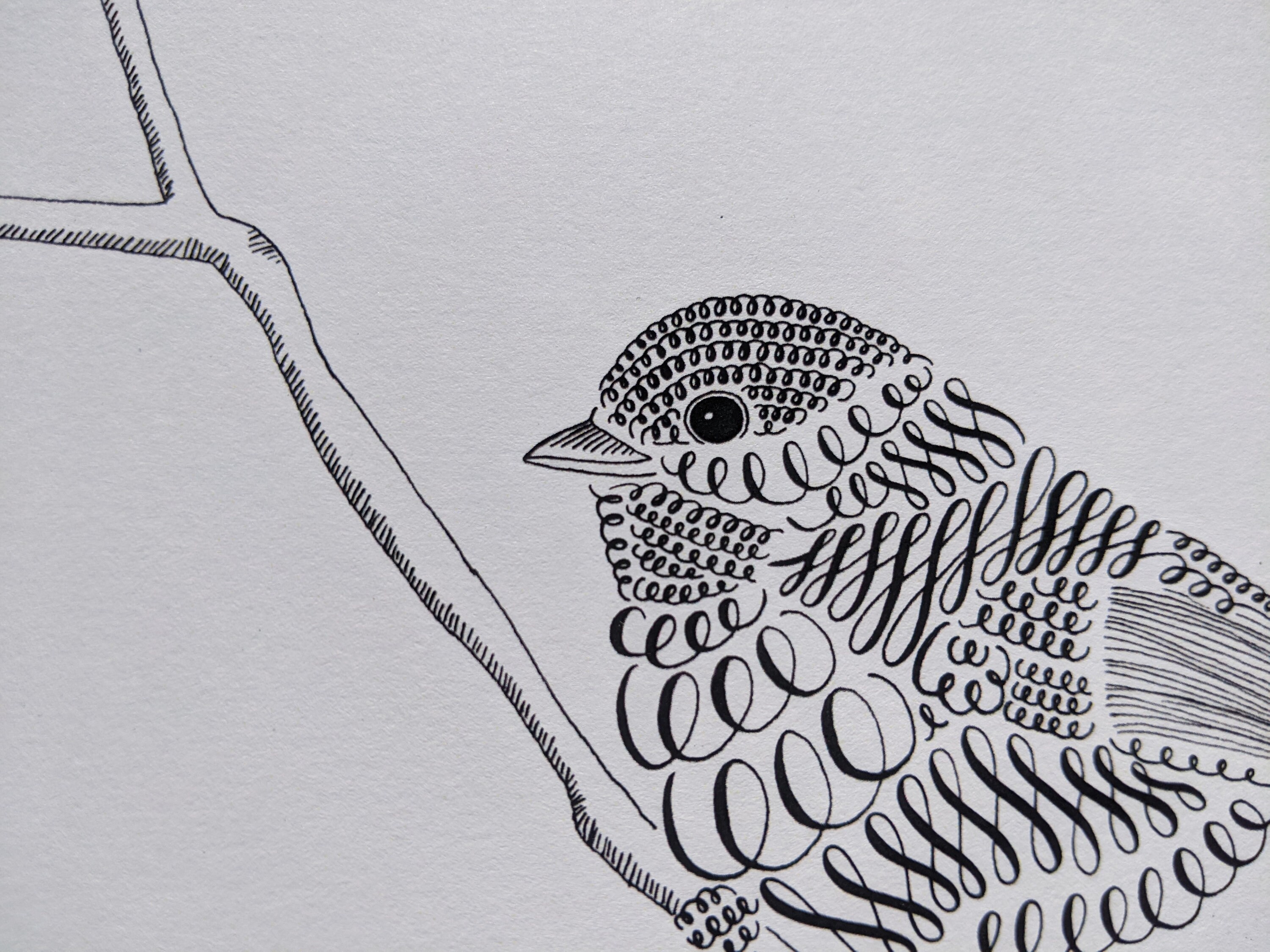Calligraphy Animals Chickadee Print - Etsy