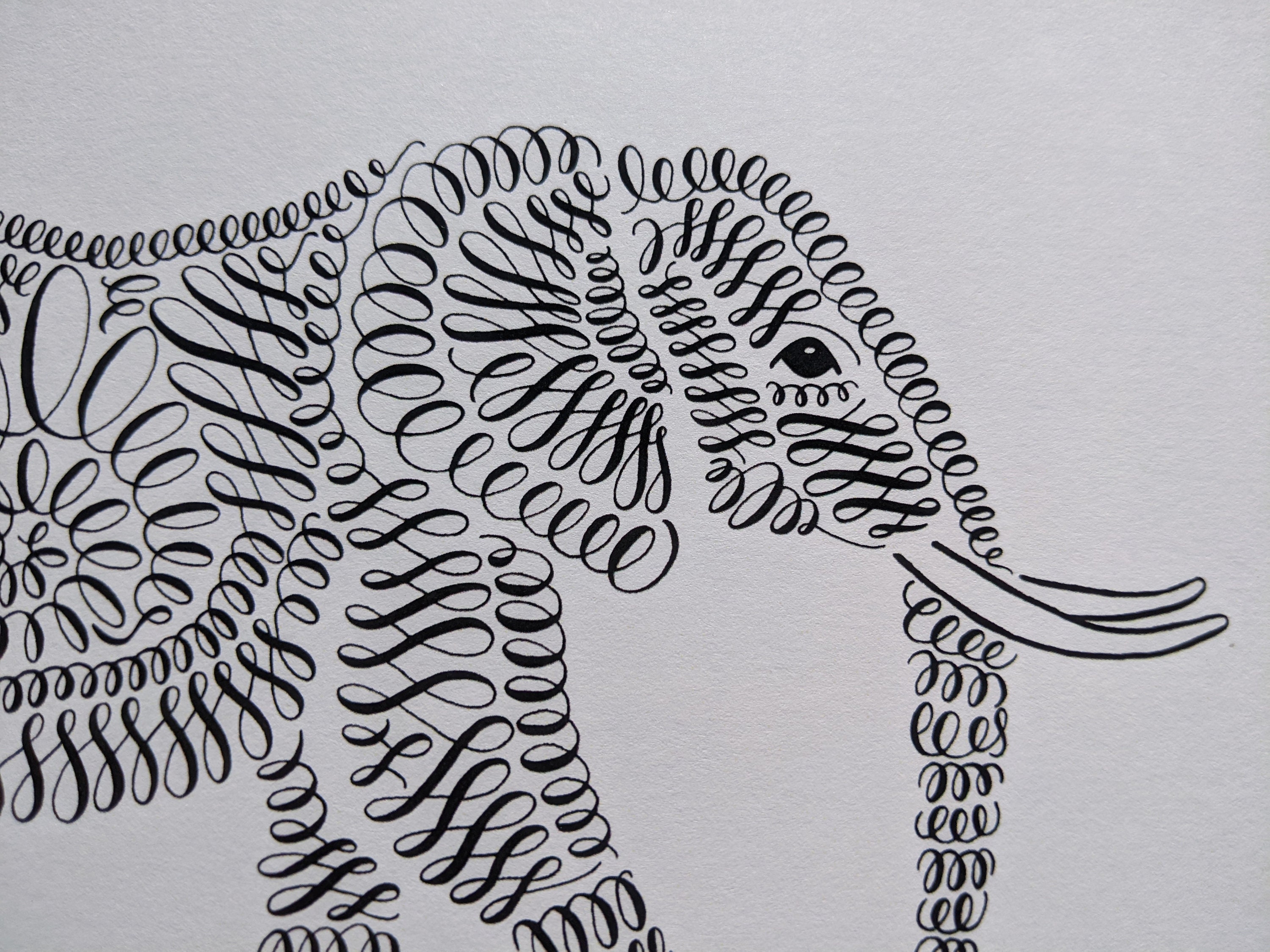 Calligraphy Animals Elephant Print - Etsy