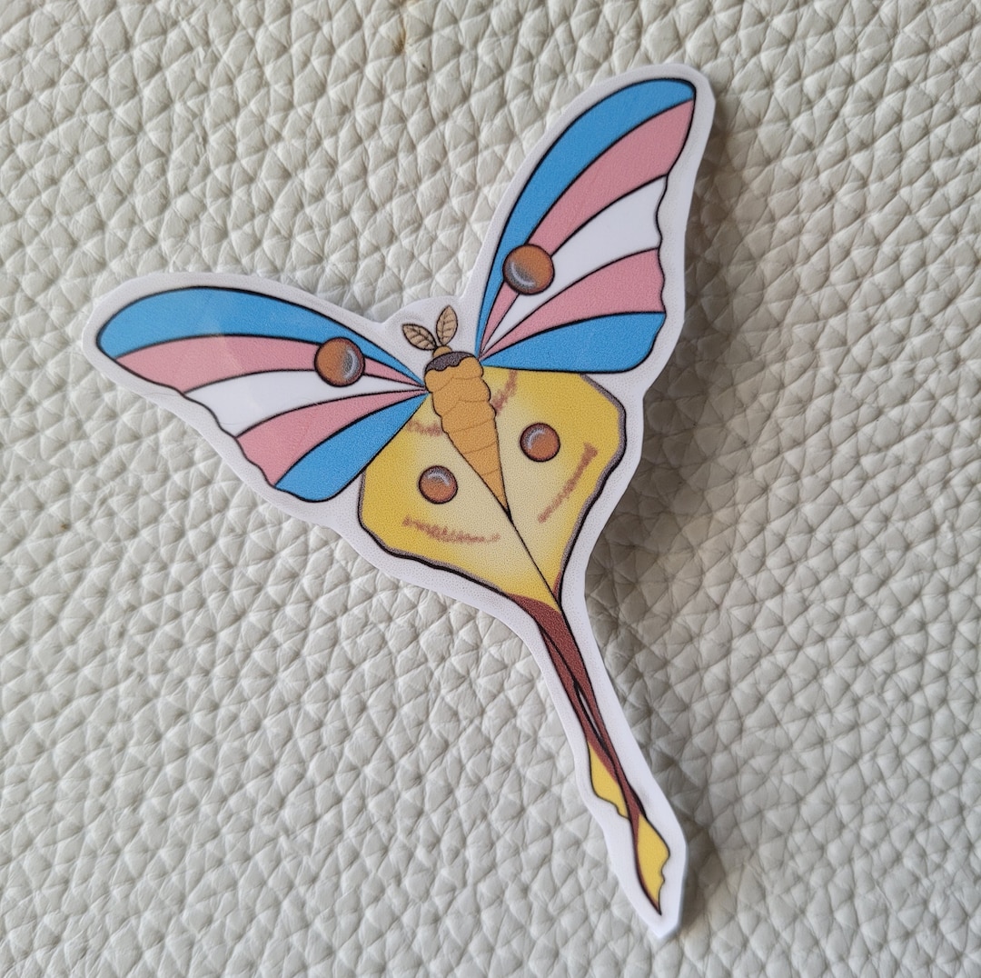 Transgender Pride Moth 2.5 Sticker - Etsy