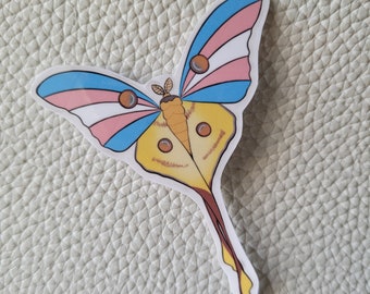 Transgender Moth - Etsy