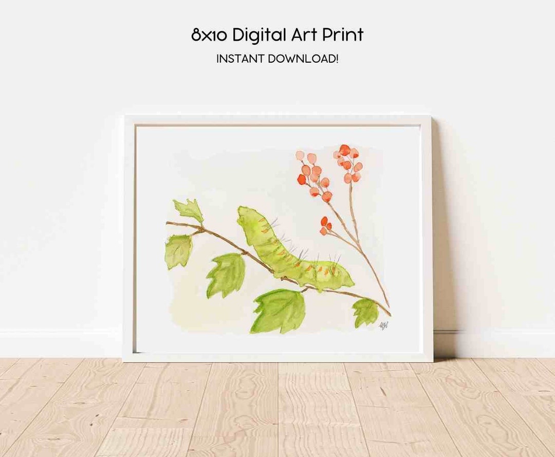 8x10 Aquarell Raupe auf Zweig Digital Art Printable - Etsy.de
