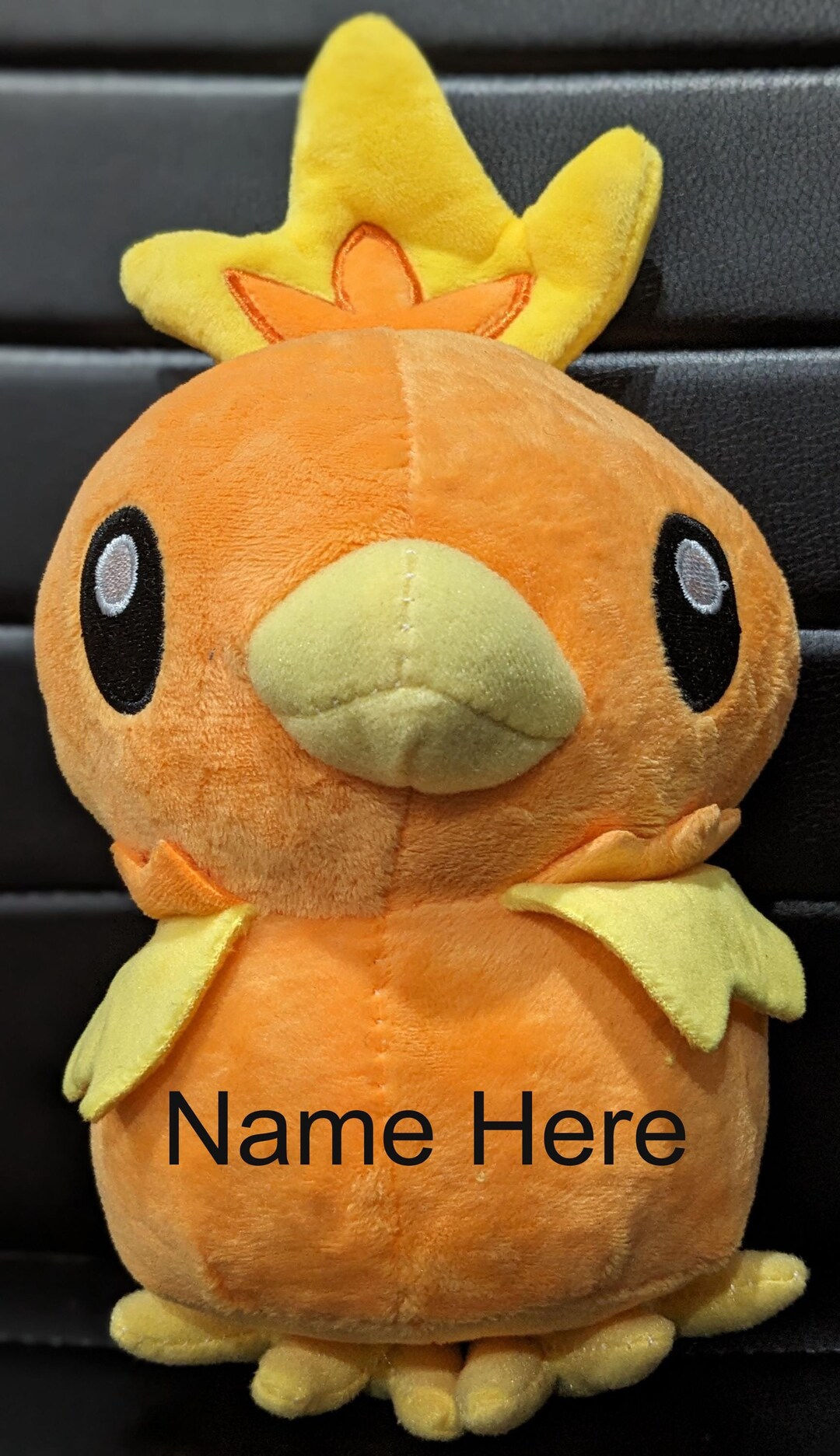 Personalized Torchic Pokemon 255 Plush Toy, 8 Tall Name Customized ...