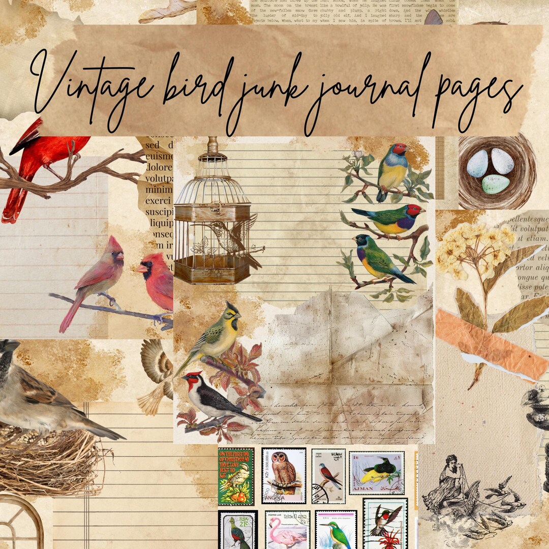 Vintage Bird Themed Printable Junk Journal Pages - Etsy