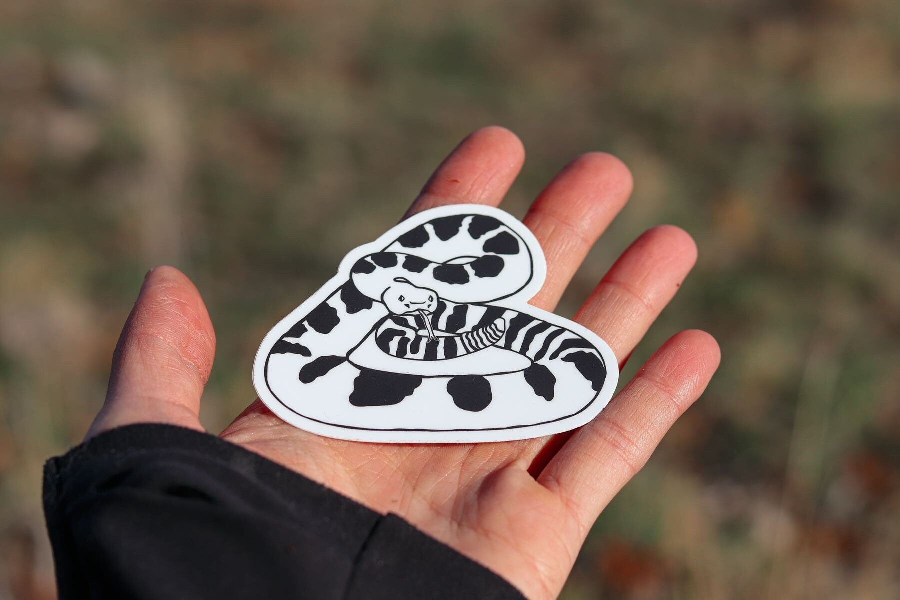 Rattlesnake Sticker - Etsy