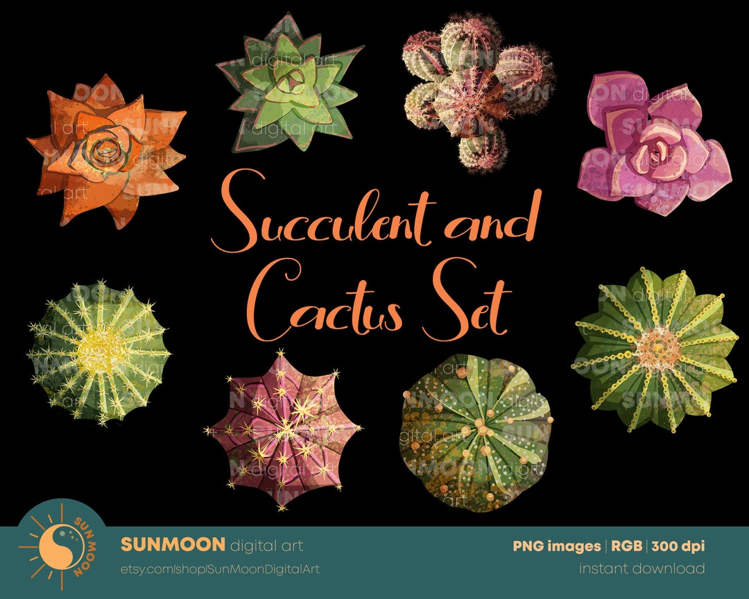 Cute Cactus Clip Art, Succulents Clipart, Cactus Stickers, Succulent ...