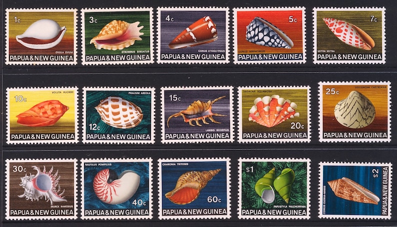 PAPUA NEW GUINEA - 1968 Shells (15 Values) Mint Unhinged - Etsy Australia