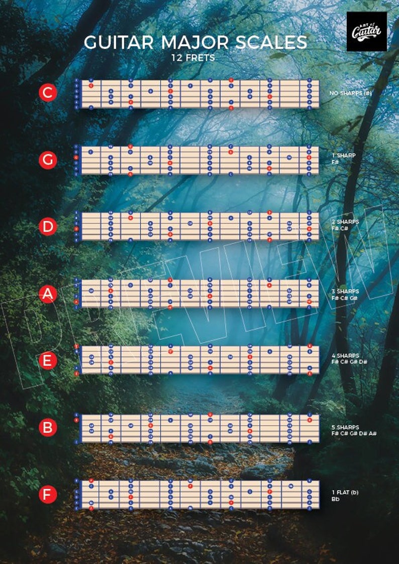 12 Fret Major Scales for Common Keys - Etsy
