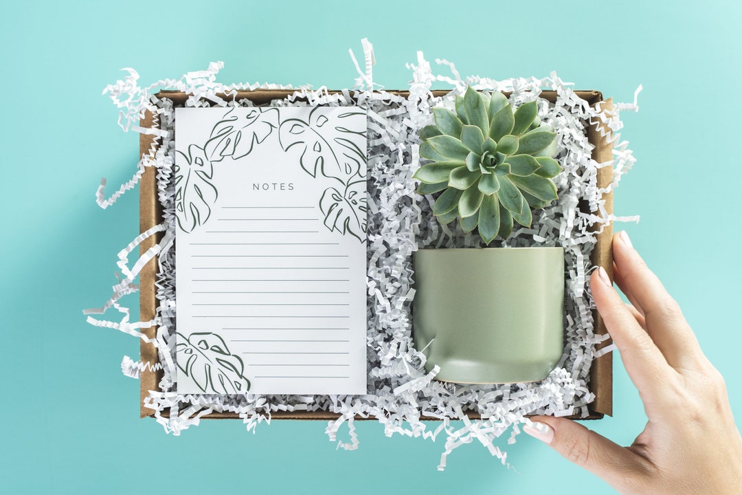 Teacher Appreciation Succulent Gift Box, Plant Thank You Gift for ...