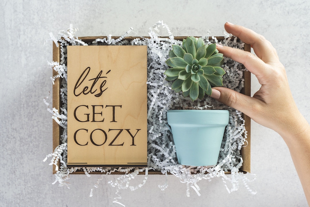 Housewarming Succulent Gift Box, First Home Closing Gift Box for Couple ...