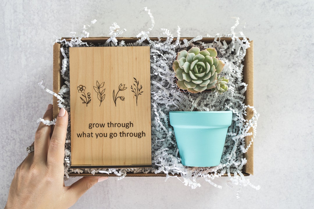 Emotional Support Plant Gift for Her, Best Friend Encouragement Care ...