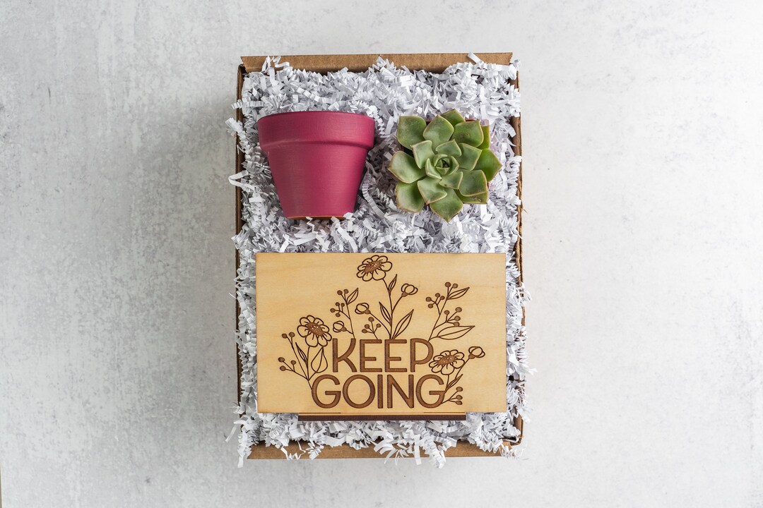 Best Friend Cheer up Gift, Encouragement Plant Gift for Her, Emotional ...
