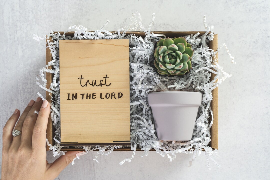 Trust the Lord Christian Sympathy Gift Box, Grief Succulent Care ...