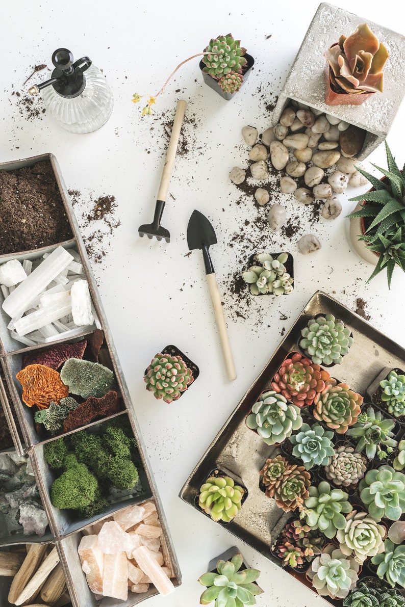 Happy Birthday Gift Box Build Your Own Terrarium Kit Gift - Etsy