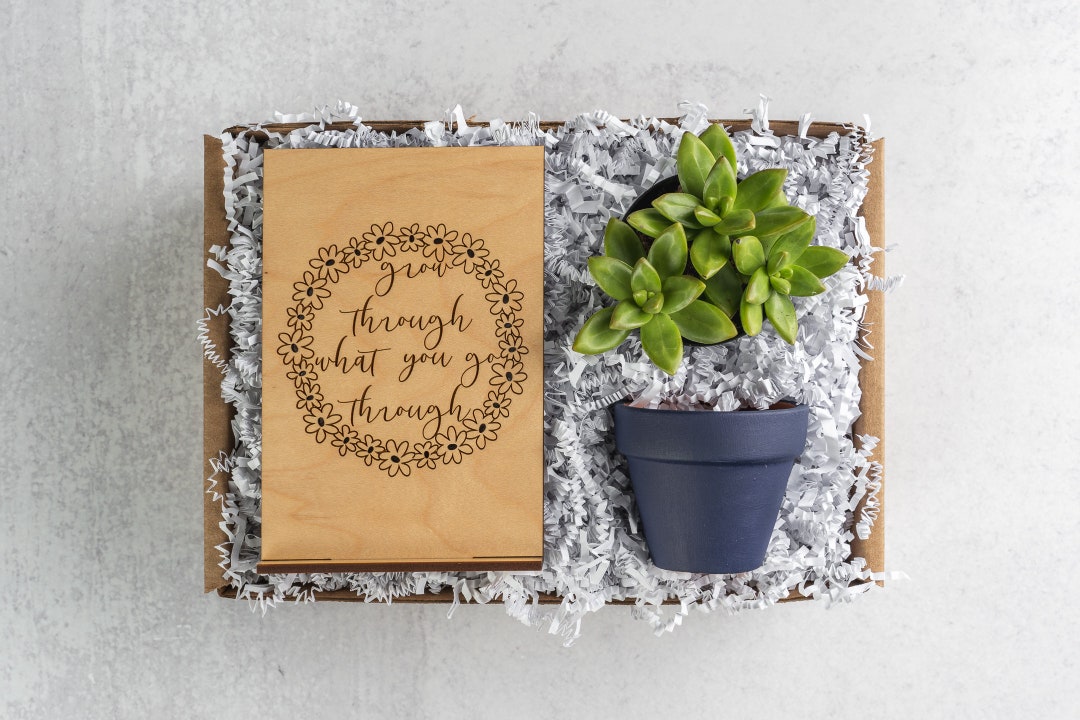 Divorce Care Package for Best Friend, Succulent Break up Kit for Her ...