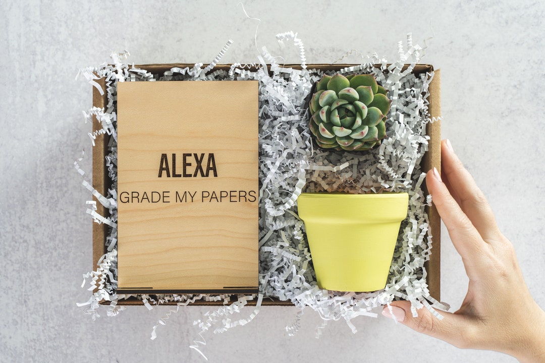Funny Teacher Appreciation Gift Box, Thank You Succulent Gift for ...
