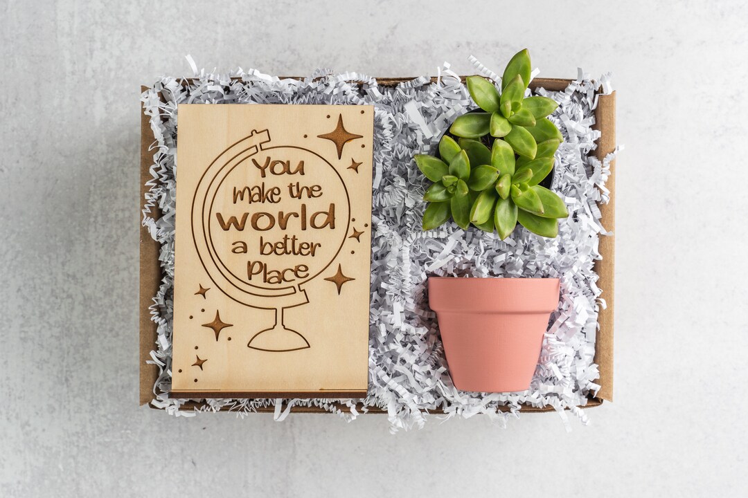 Teacher Appreciation Plant Gift for Professor, Holiday Succulent Thank ...