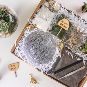 Happy Birthday Gift Box, Build Your Own Terrarium Kit Gift, Succulent ...