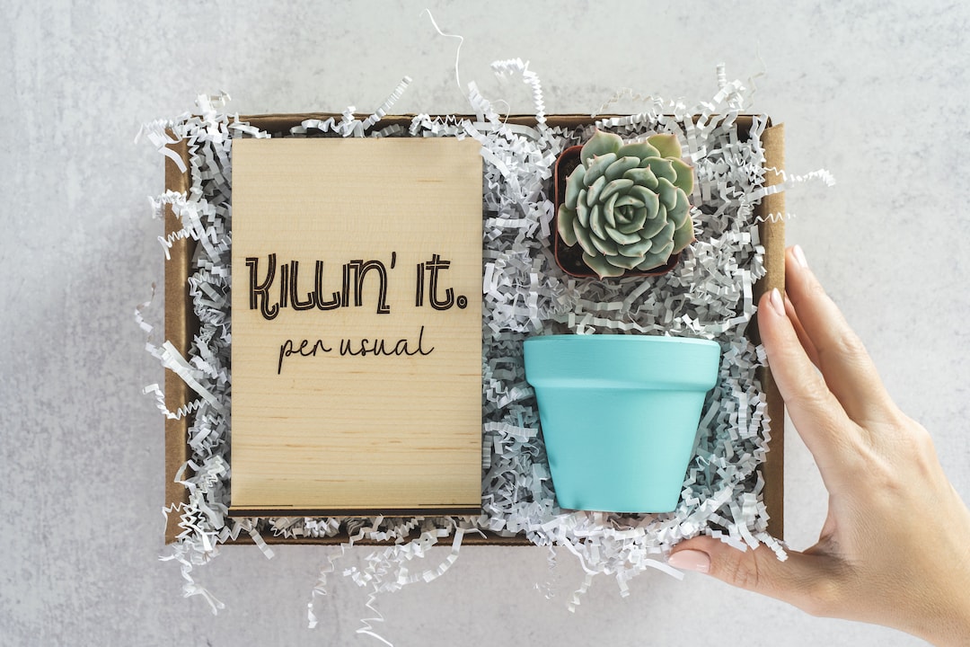 Promotion Gift Box for Women, Congratulations Succulent Gift Box for ...