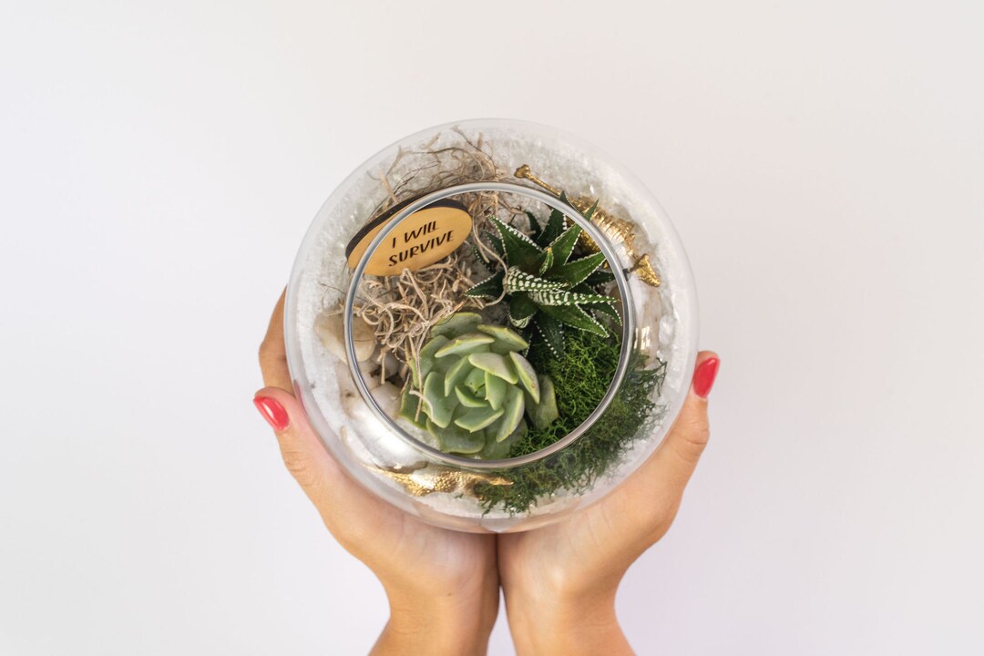 Happy Birthday Gift Box Build Your Own Terrarium Kit Gift Etsy happy-birthday-gift-box-build-your-own-terrarium-kit-gift-etsy