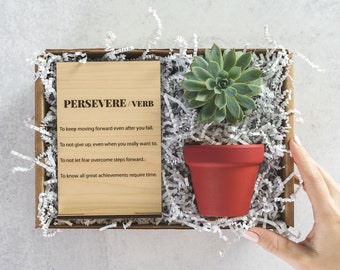 Way to Go Gift Box - Etsy