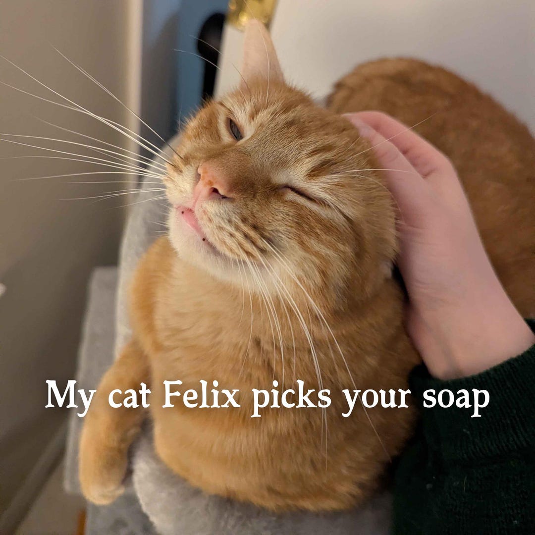 My Cat Felix Picks Your Soap - Etsy