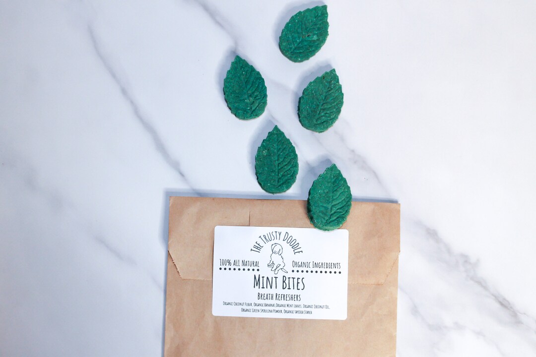 Refill Mint Bites 100% All Natural Dog Treats - Etsy