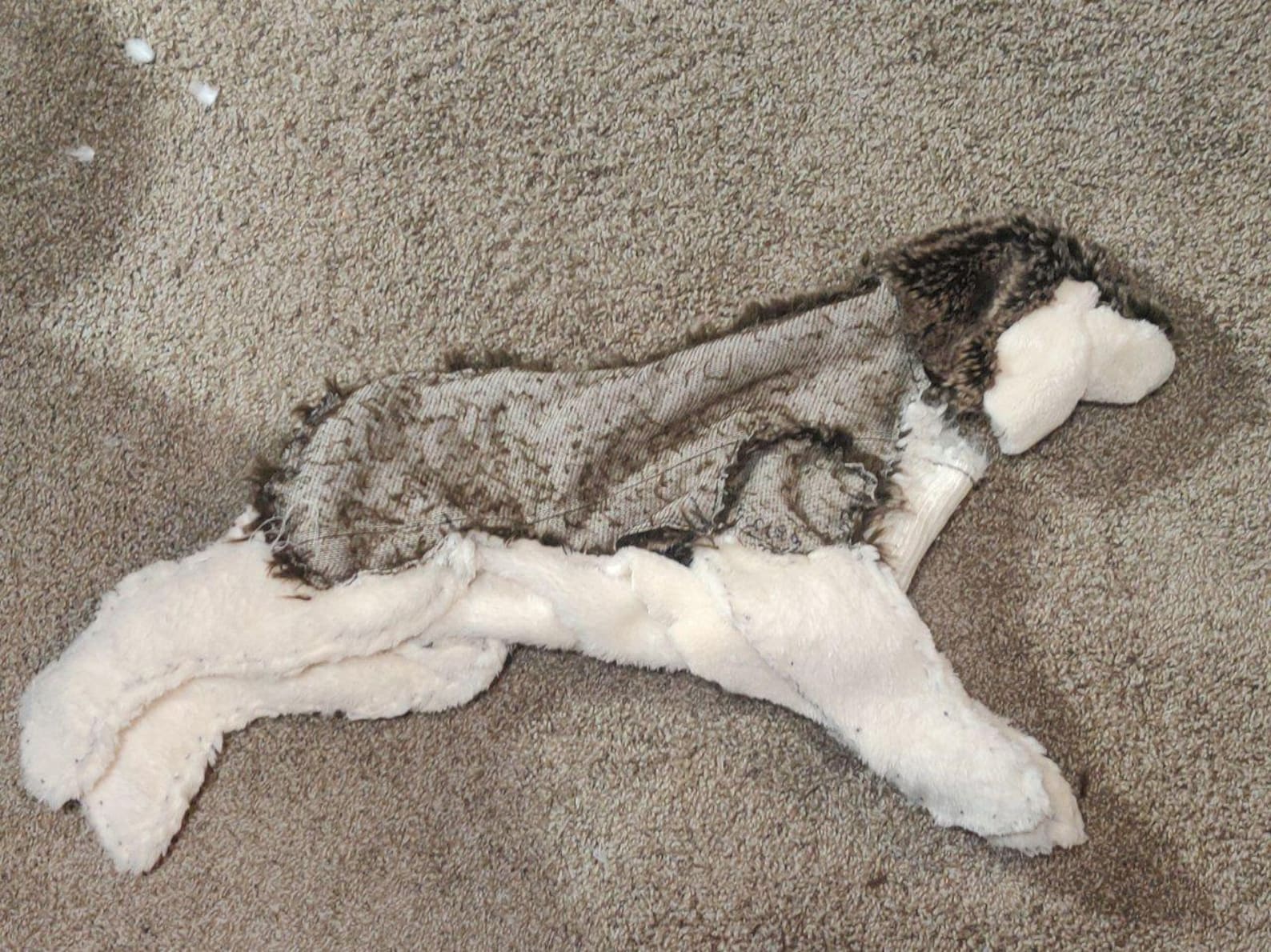 Simple Semi-realistic Wolf Plush Sewing Pattern + Instructions | PDF ...