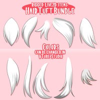 Rigged Vtuber Hair Asset: Live2d, PSD, Moc3 Files. - Etsy Canada