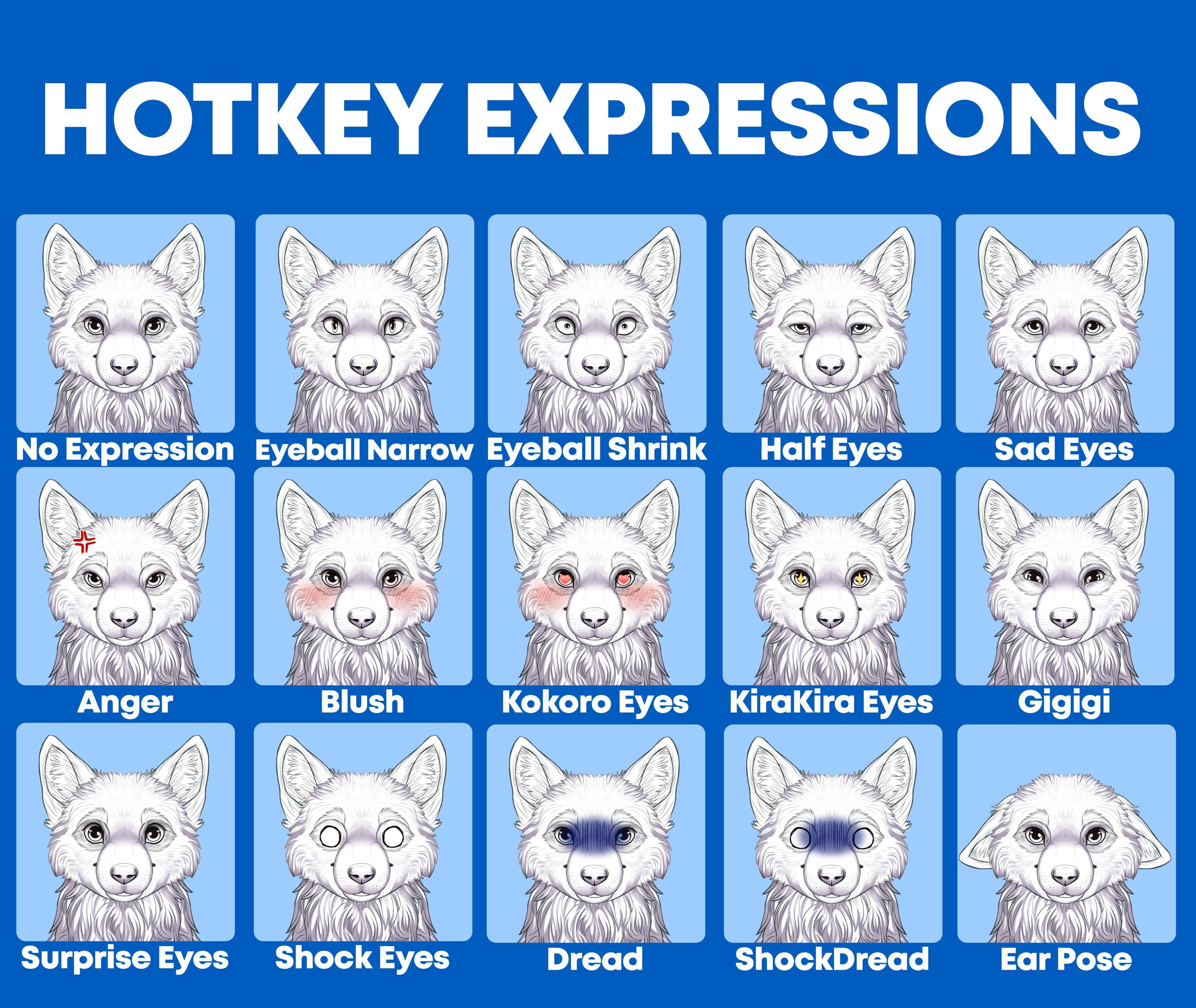 Live2d Vtuber Virtual Avatar Model: Customizable Wolf - Etsy