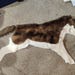 Simple Semi-realistic Wolf Plush Sewing Pattern + Instructions | PDF ...