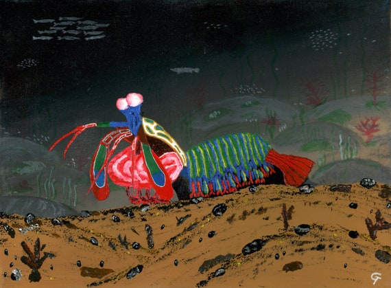 Mantis Shrimp Digital Download of an Original Painting High - Etsy