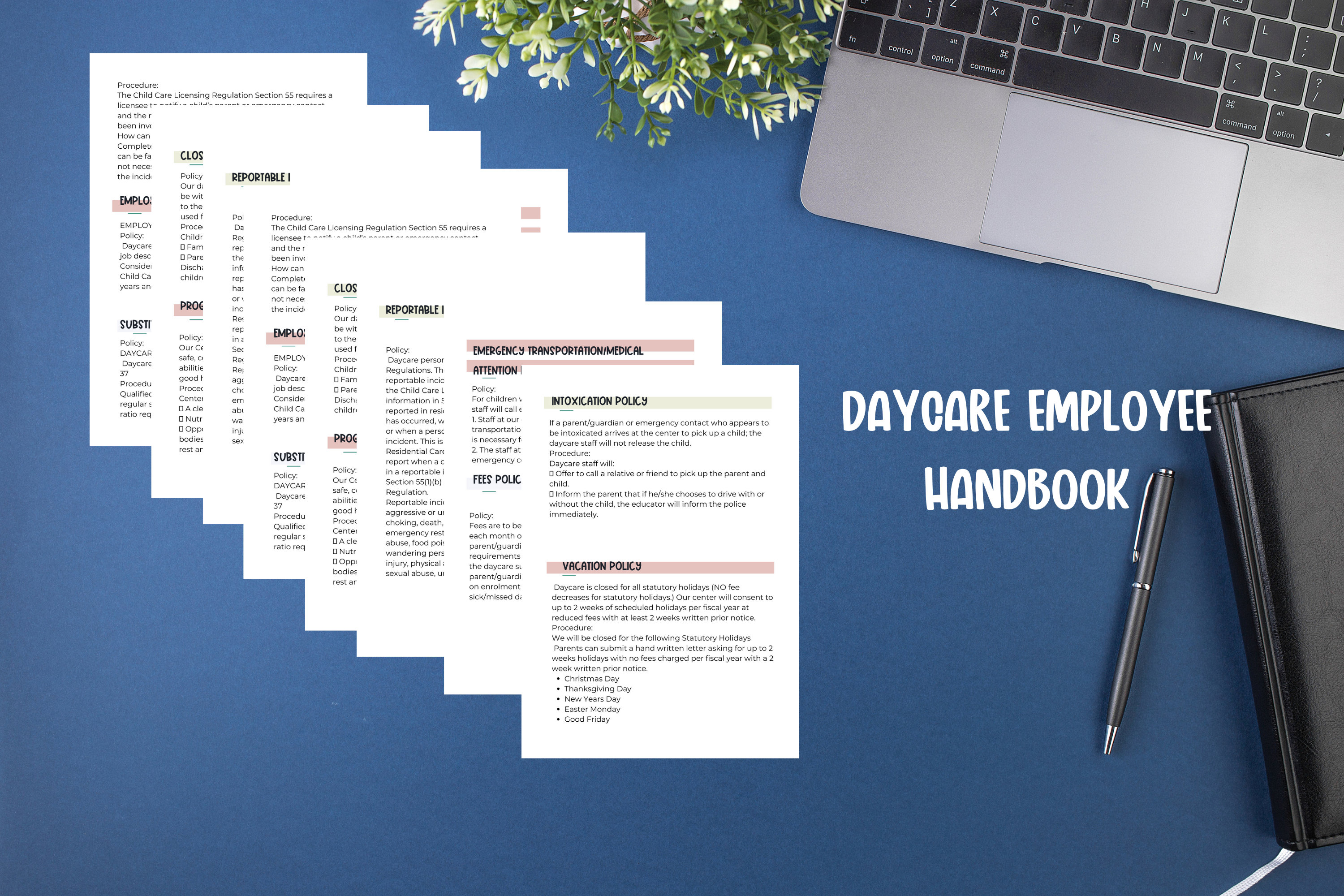 Daycare Employee Forms Bundle: Handbook, Application, Interview Guide ...
