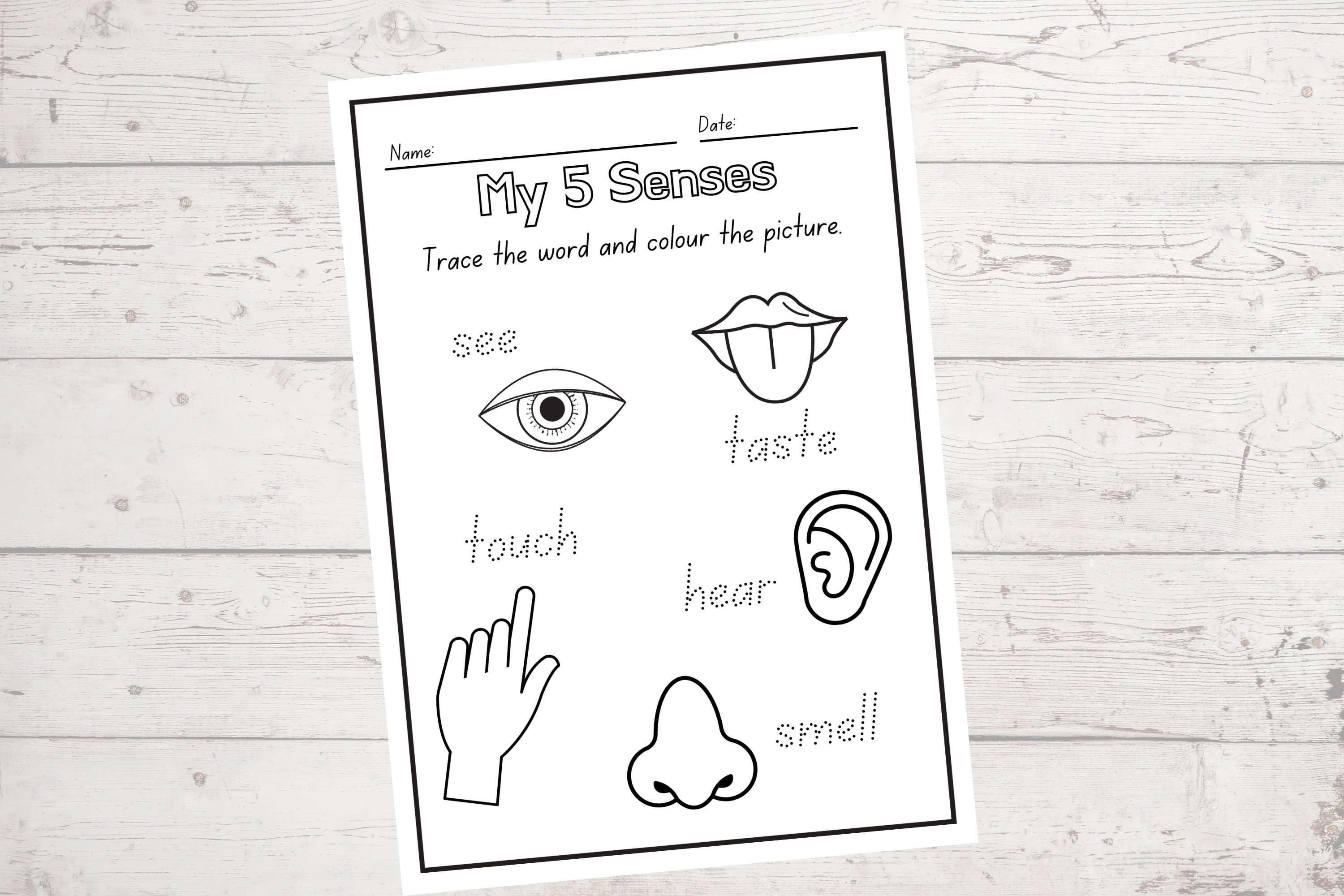 Childcare, Daycare, Learning Center, Academy 5 Senses Worksheet for ...