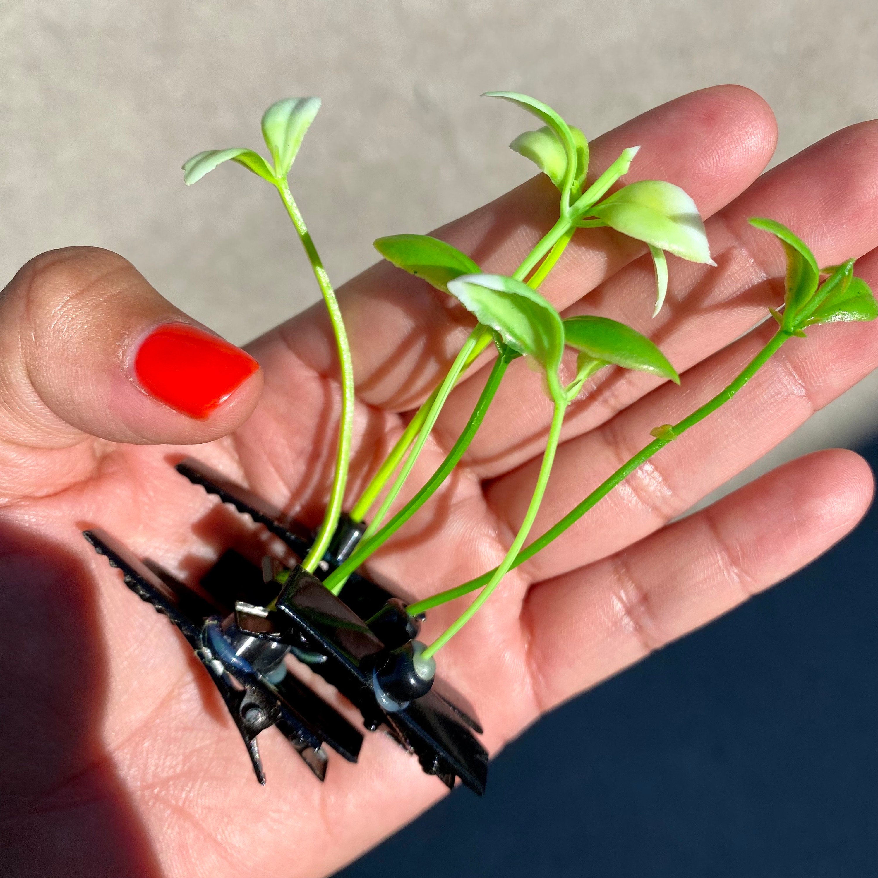 Rave Sprouts Flower Clips PLUR Sprout Clips Ravers Cute Clips EDCO Djs ...