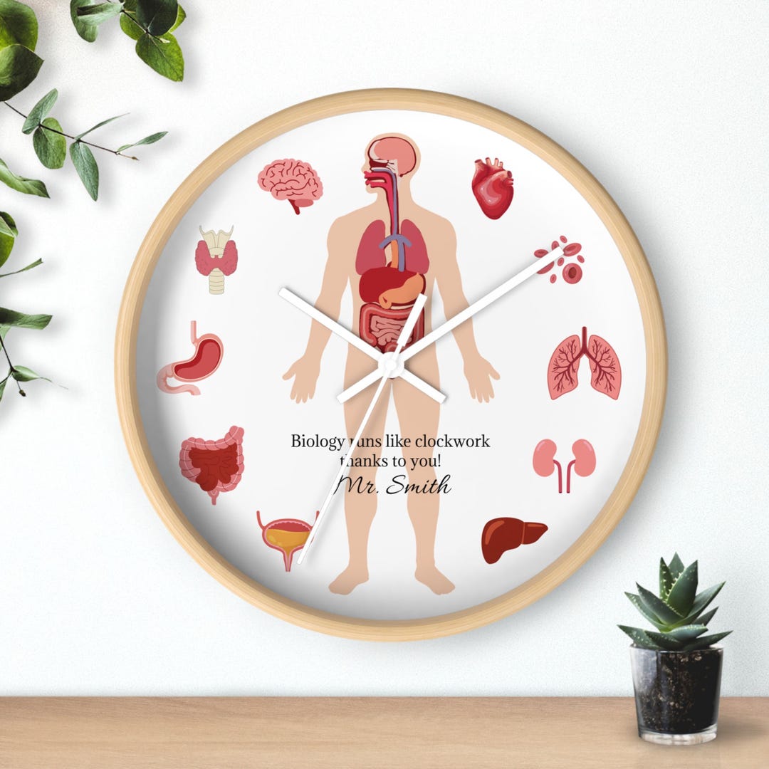 Personalized Anatomy Clock, Biology Teacher Gift, Classroom Decor - Etsy