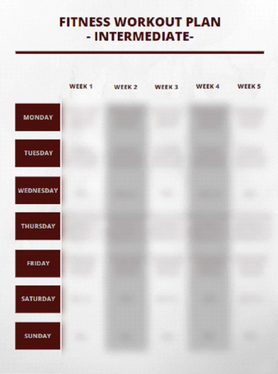 15 Week Workout Plan From Beginners to Advanced - Etsy