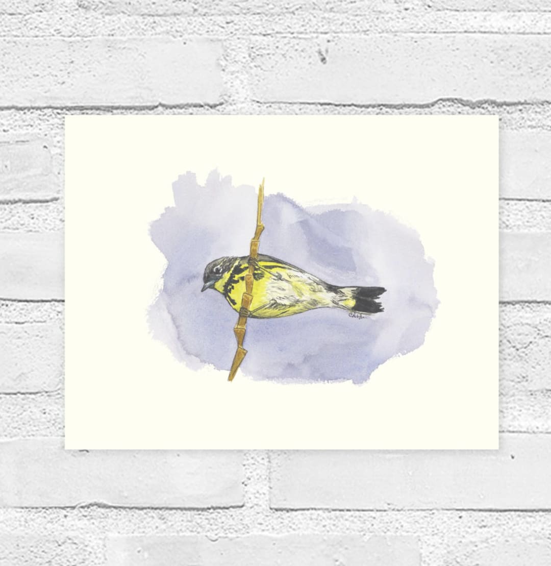 Prairie Warbler, Watercolor Print, Bird Watching Art Gift - Etsy