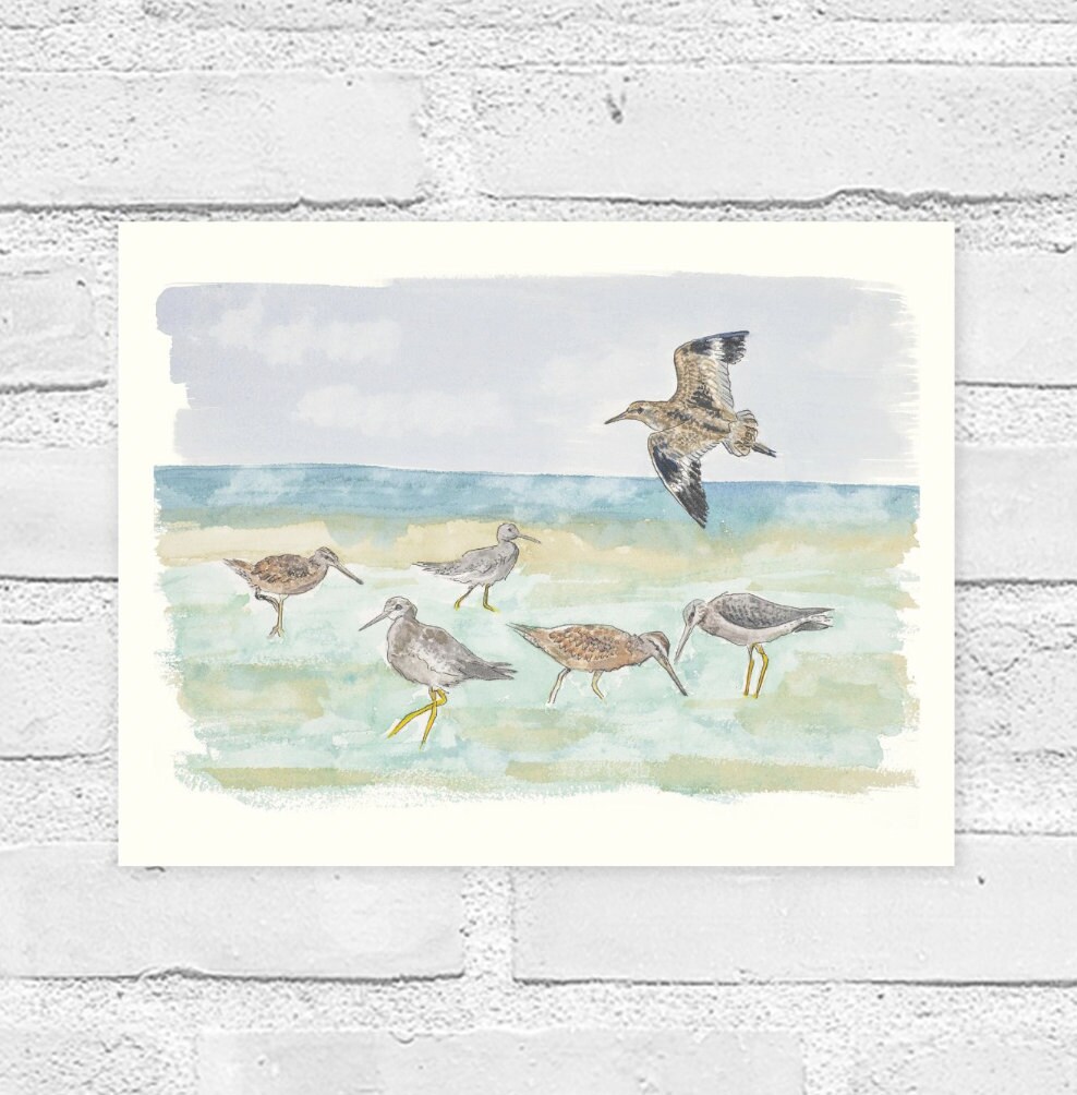 Shorebirds Watercolor Print, Bird Watching Art Gift - Etsy