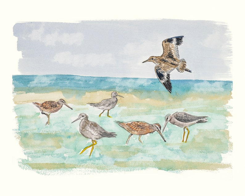 Shorebirds Watercolor Print, Bird Watching Art Gift - Etsy