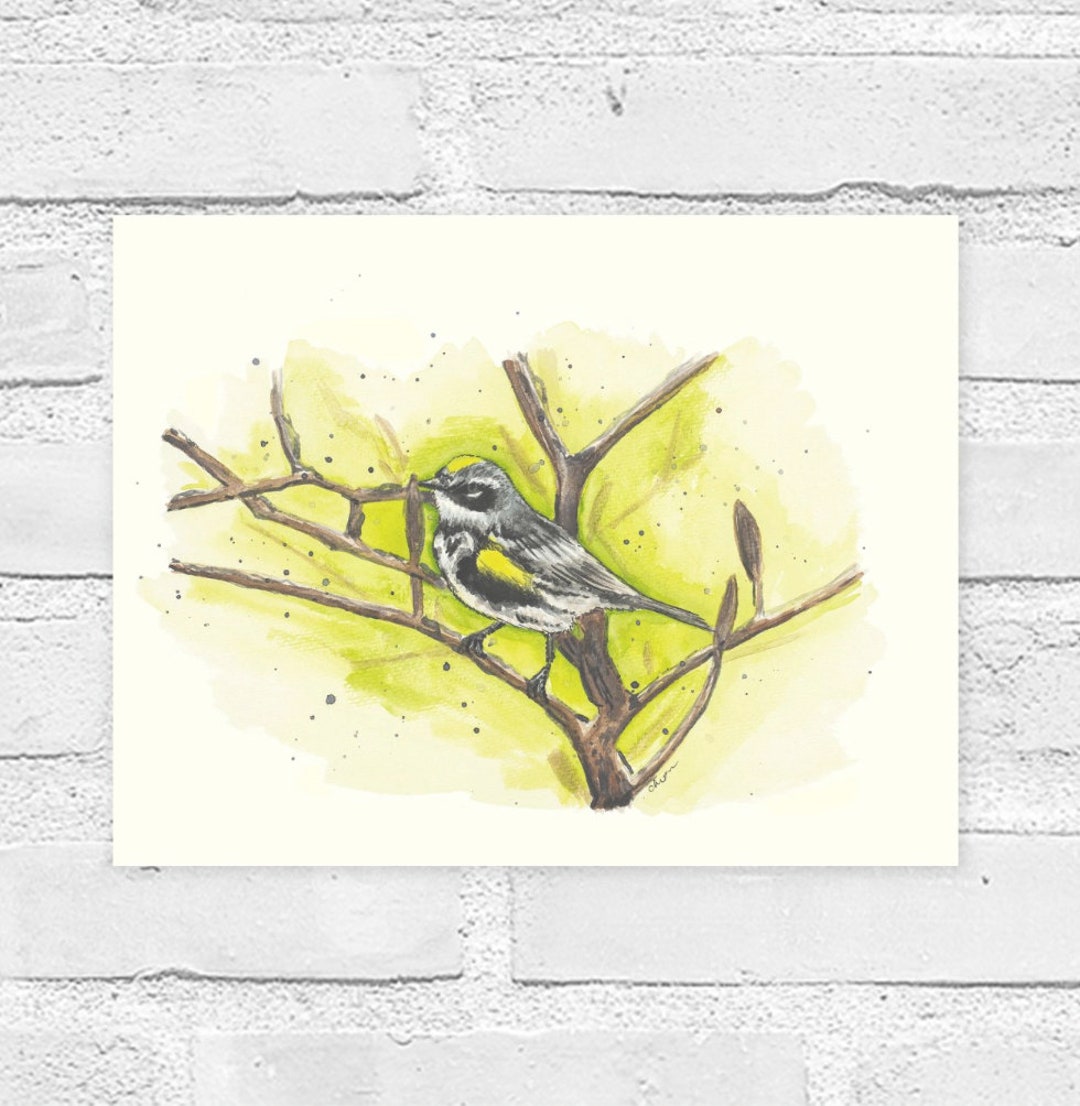 Yellow-rumped Warbler, Watercolor Print, Bird Watching Art Gift - Etsy