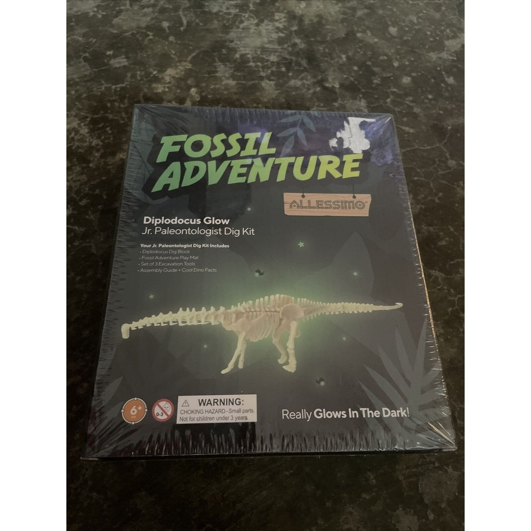 Glow in the Dark Diplodocus Block Dig Kit With 3 Tools Jr ...