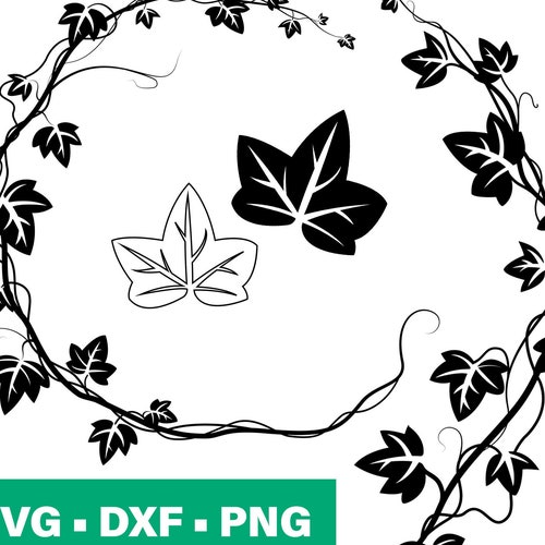 Ivy Branch Svg Ivy Digital Download Ivy Leaf Leaf - Etsy