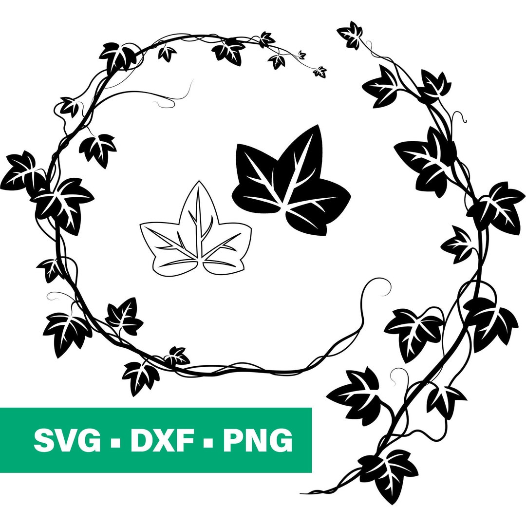 Efeu Blatt SVG, Poison Ivy SVG, Efeu Border, Digitaler Download, Efeu ...